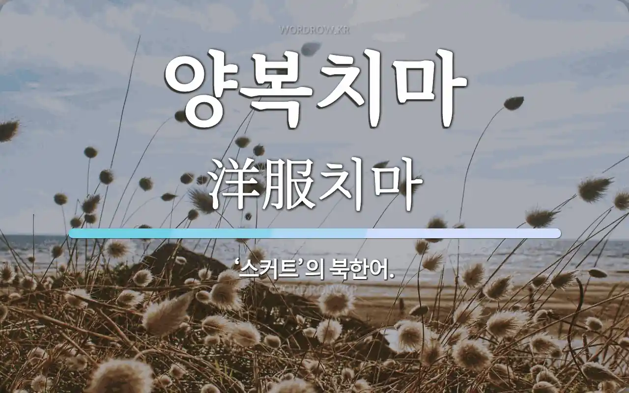 양복치마 뜻 ‘스커트의 북한어