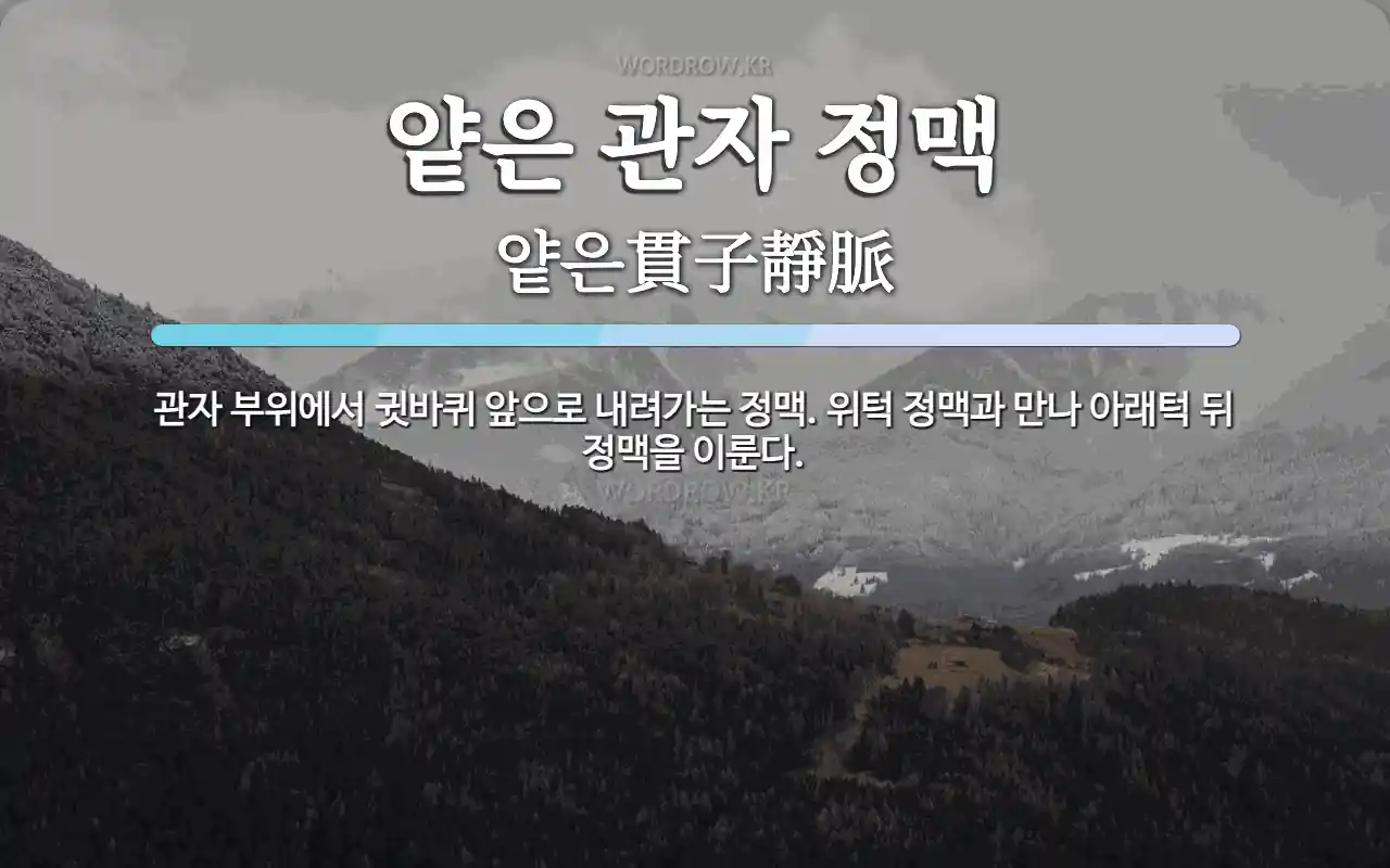 얕은 관자 정맥 뜻 관자 부위에서 귓바퀴 앞으로 내려가는 정맥 위턱 정맥과 만나 아래턱 뒤 정맥을 이룬다