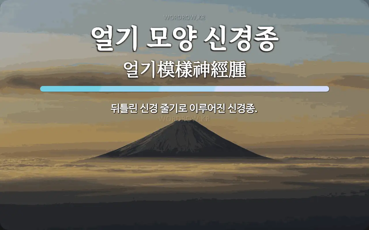 얼기 모양 신경종 뜻 뒤틀린 신경 줄기로 이루어진 신경종