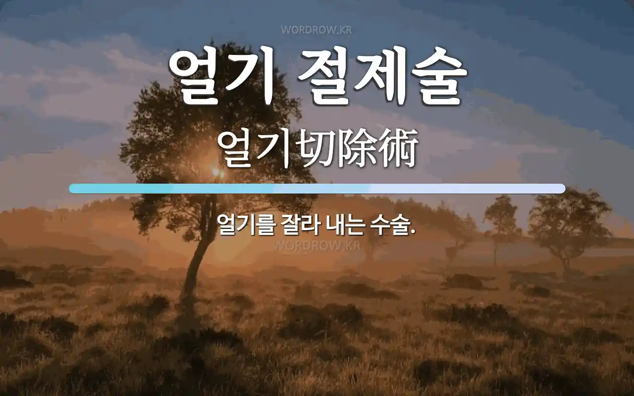 얼기 절제술 뜻 얼기를 잘라 내는 수술