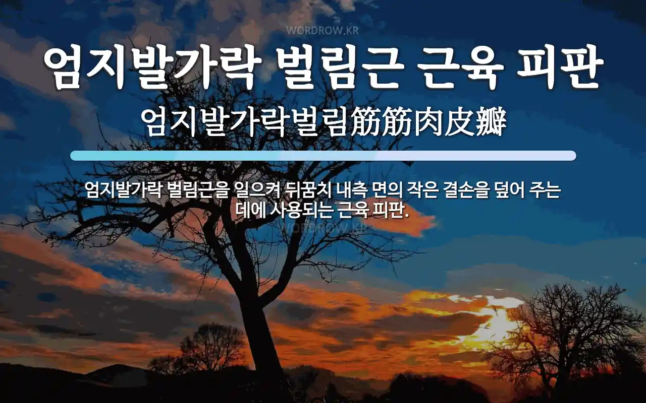 엄지발가락 벌림근 근육 피판 뜻 엄지발가락 벌림근을 일으켜 뒤꿈치 내측 면의 작은 결손을 덮어 주는 데에 사용되는 근육 피