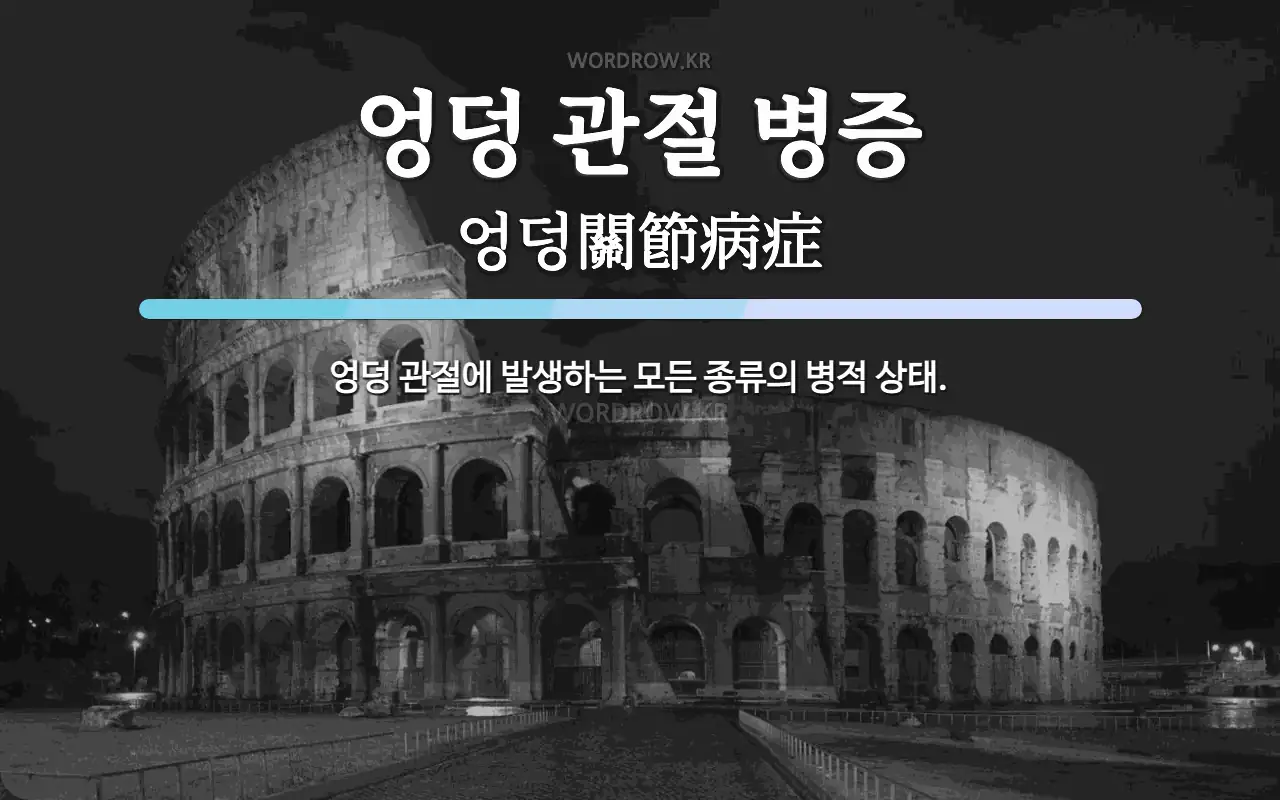 엉덩 관절 병증 뜻 엉덩 관절에 발생하는 모든 종류의 병적 상태