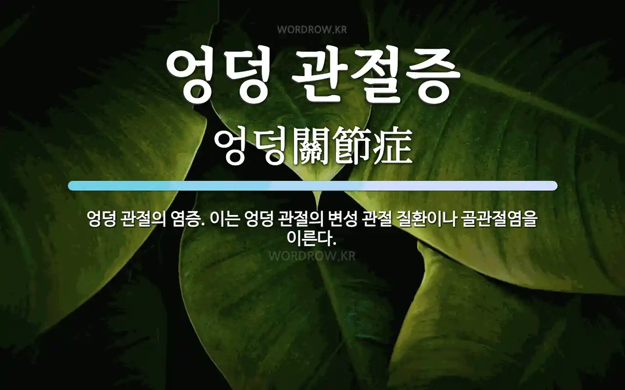 엉덩 관절증 뜻 엉덩 관절의 염증 이는 엉덩 관절의 변성 관절 질환이나 골관절염을 이른다