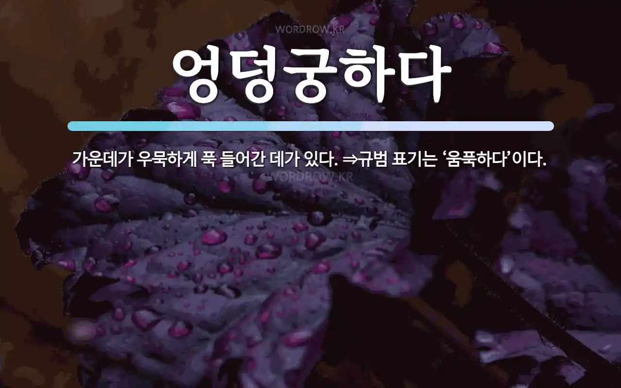 엉덩궁하다 뜻 가운데가 우묵하게 푹 들어간 데가 있다 ⇒규범 표기는 ‘움푹하다이다