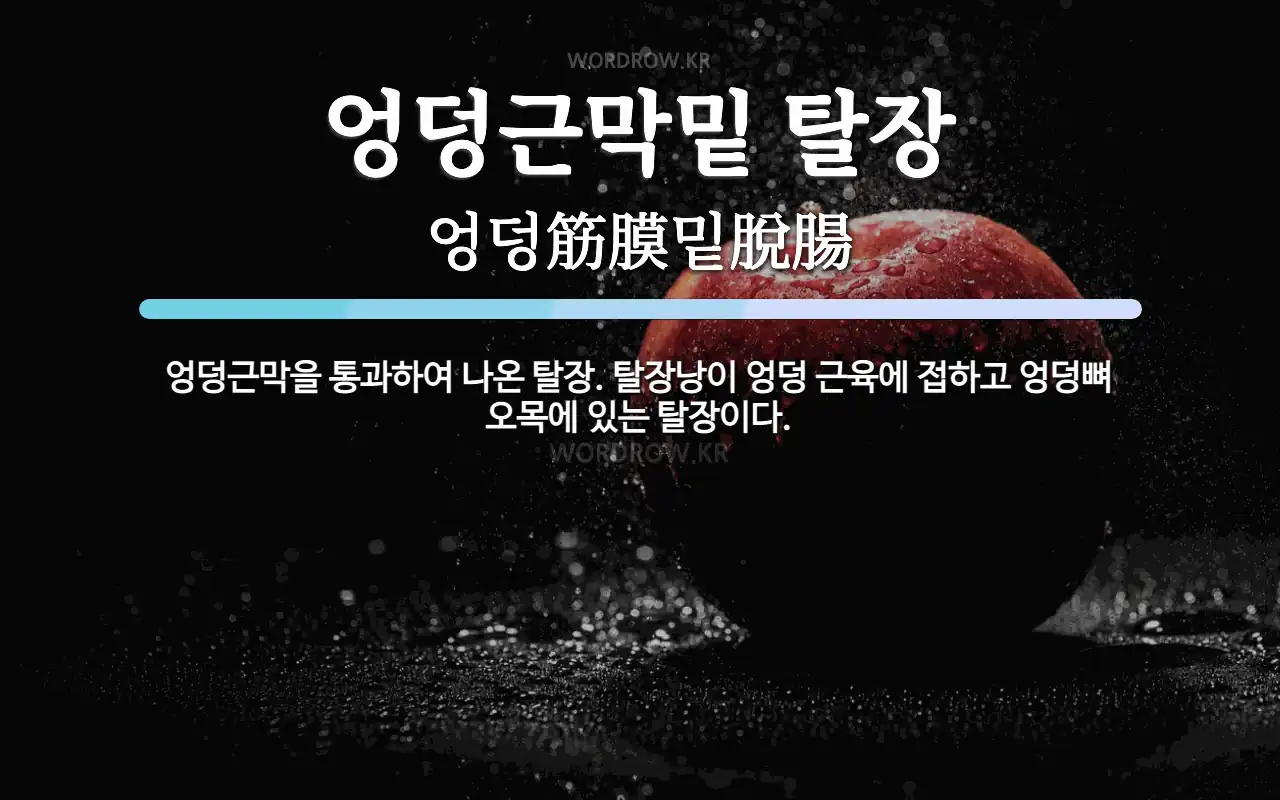 엉덩근막밑 탈장 뜻 엉덩근막을 통과하여 나온 탈장 탈장낭이 엉덩 근육에 접하고 엉덩뼈 오목에 있는 탈장이다