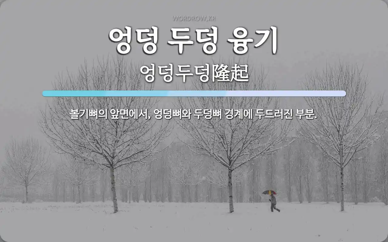 엉덩 두덩 융기 뜻 볼기뼈의 앞면에서 엉덩뼈와 두덩뼈 경계에 두드러진 부분