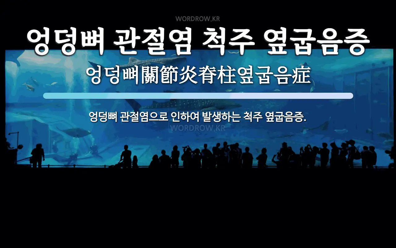 엉덩뼈 관절염 척주 옆굽음증 뜻 엉덩뼈 관절염으로 인하여 발생하는 척주 옆굽음증