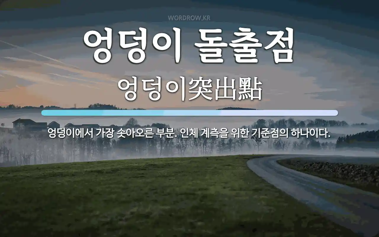 엉덩이 돌출점 뜻 엉덩이에서 가장 솟아오른 부분 인체 계측을 위한 기준점의 하나이다