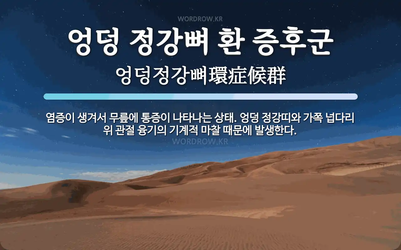엉덩 정강뼈 환 증후군 뜻 염증이 생겨서 무릎에 통증이 나타나는 상태 엉덩 정강띠와 가쪽 넙다리 위 관절 융기의 기