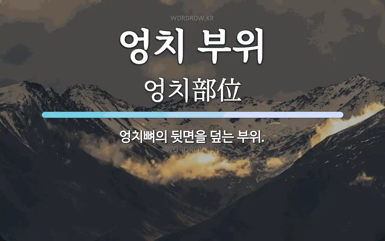 엉치 부위 뜻 엉치뼈의 뒷면을 덮는 부위
