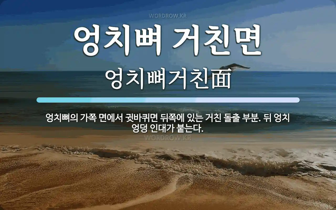 엉치뼈 거친면 뜻 엉치뼈의 가쪽 면에서 귓바퀴면 뒤쪽에 있는 거친 돌출 부분 뒤 엉치 엉덩 인대가 붙는다