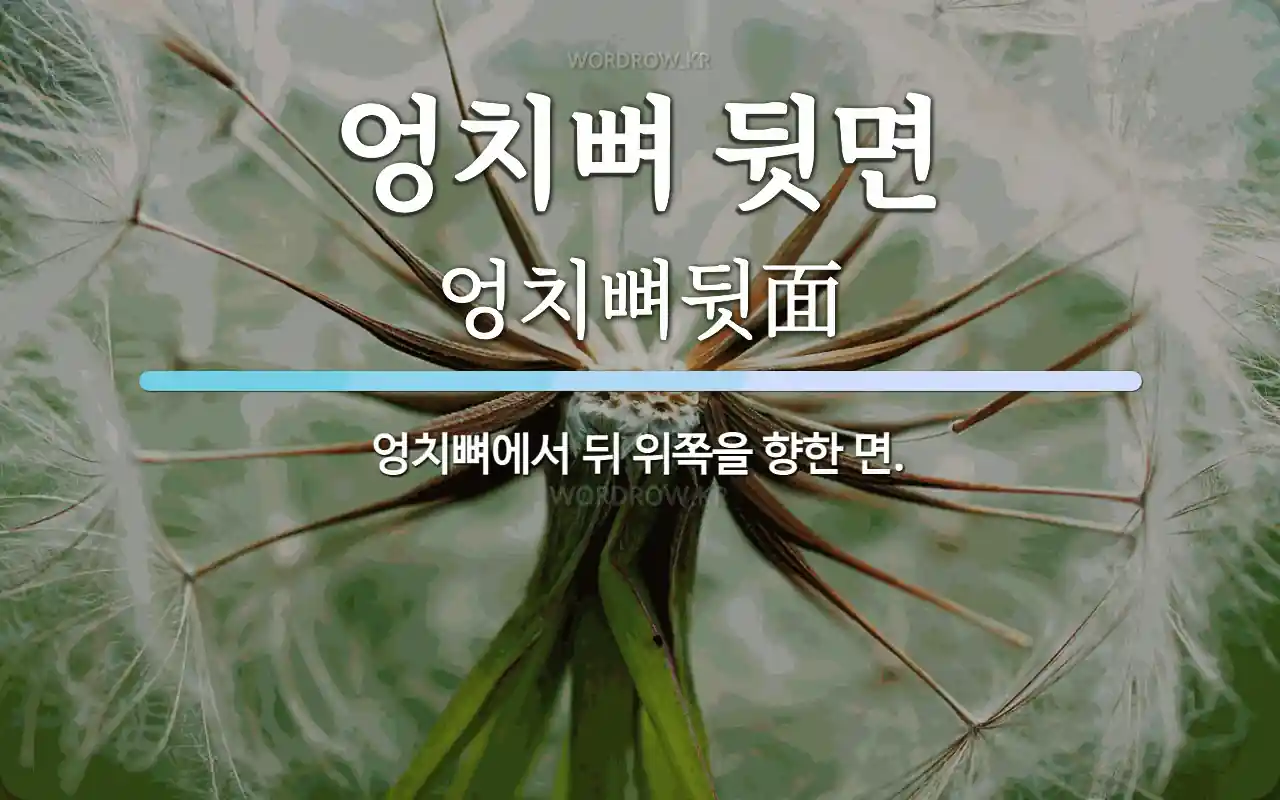 엉치뼈 뒷면 뜻 엉치뼈에서 뒤 위쪽을 향한 면