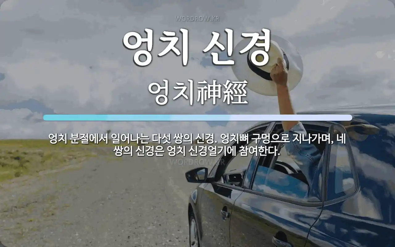 엉치 신경 뜻 엉치 분절에서 일어나는 다섯 쌍의 신경 엉치뼈 구멍으로 지나가며 네 쌍의 신경은 엉치