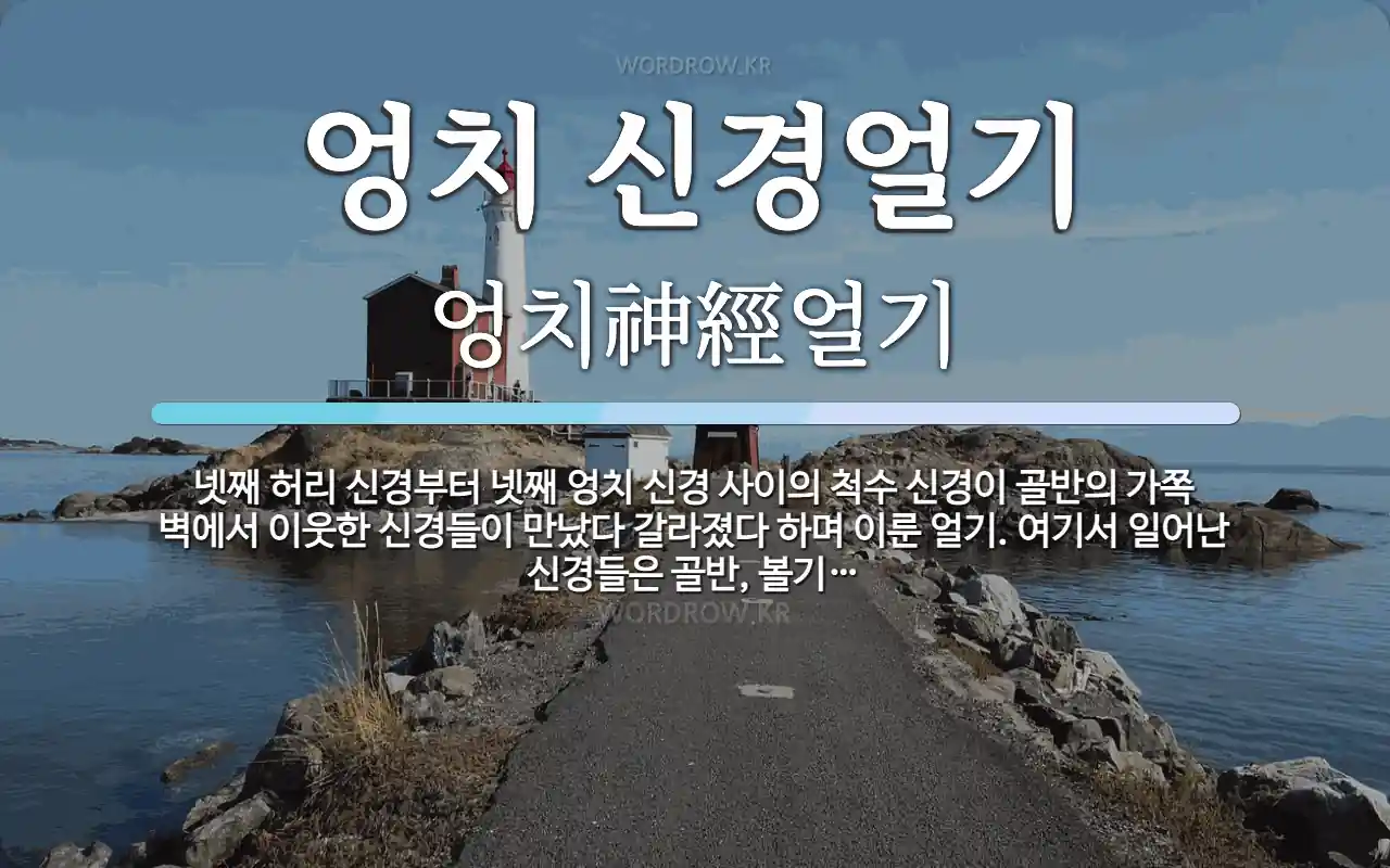 엉치 신경얼기 뜻 넷째 허리 신경부터 넷째 엉치 신경 사이의 척수 신경이 골반의 가쪽 벽에서 이웃한 신경들이