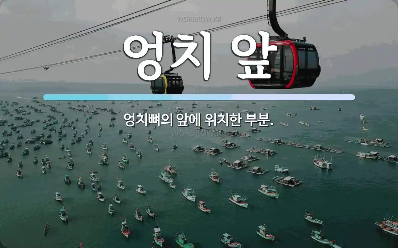 엉치 앞 뜻 엉치뼈의 앞에 위치한 부분