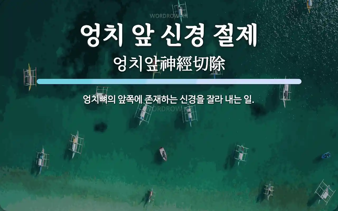엉치 앞 신경 절제 뜻 엉치뼈의 앞쪽에 존재하는 신경을 잘라 내는 일