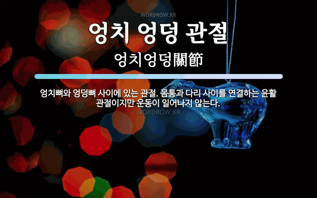엉치 엉덩 관절 뜻 엉치뼈와 엉덩뼈 사이에 있는 관절 몸통과 다리 사이를 연결하는 윤활 관절이지만 운동이 일