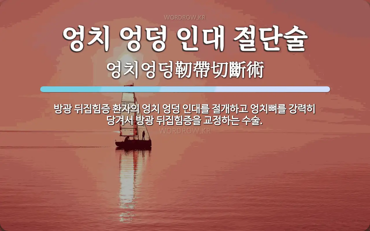 엉치 엉덩 인대 절단술 뜻 방광 뒤집힘증 환자의 엉치 엉덩 인대를 절개하고 엉치뼈를 강력히 당겨서 방광 뒤집힘증을 교