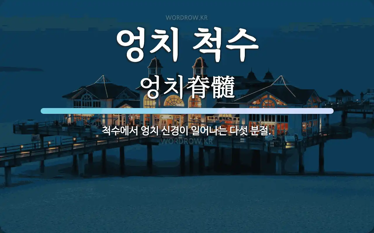 엉치 척수 뜻 척수에서 엉치 신경이 일어나는 다섯 분절