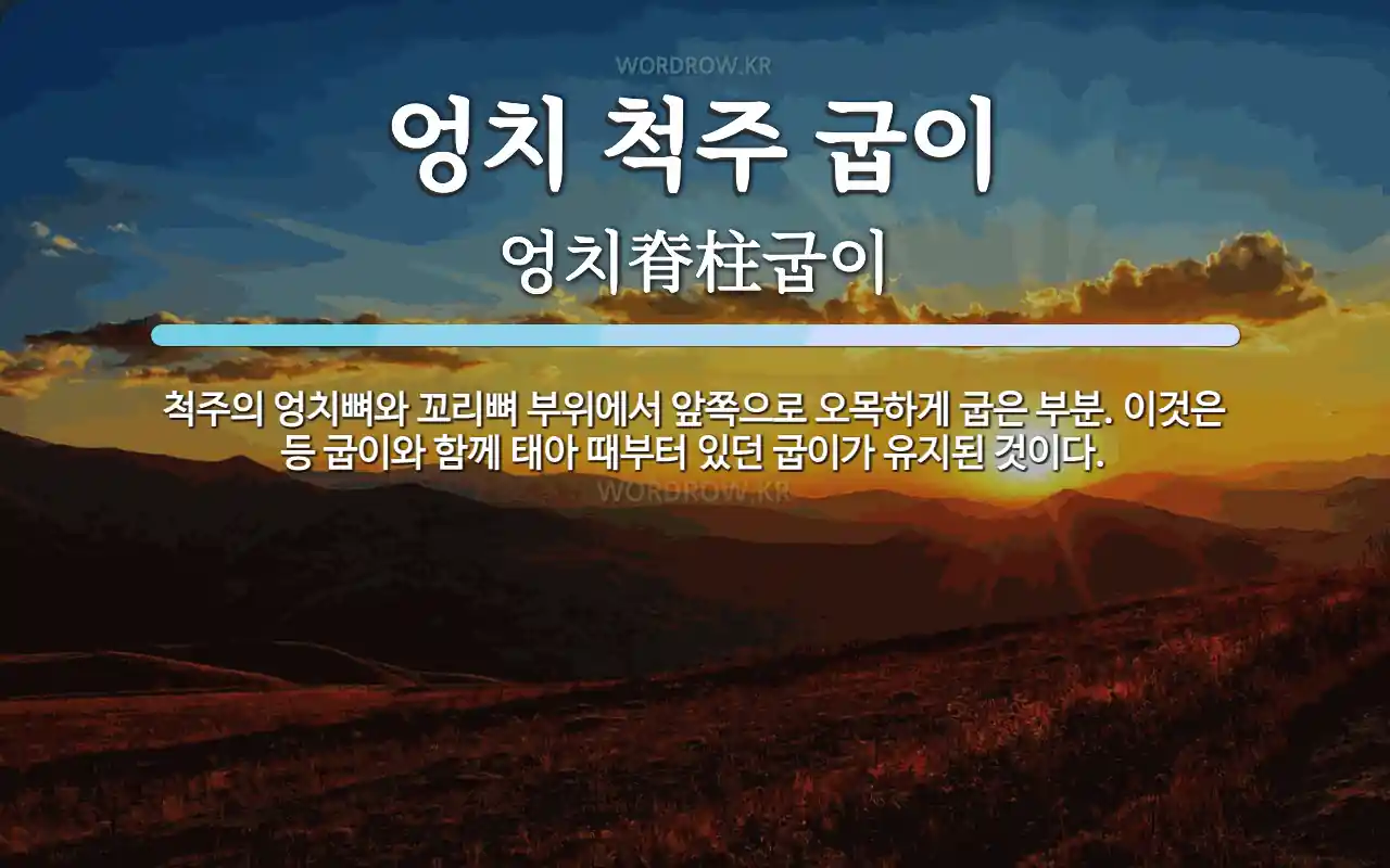 엉치 척주 굽이 뜻 척주의 엉치뼈와 꼬리뼈 부위에서 앞쪽으로 오목하게 굽은 부분 이것은 등 굽이와 함께 태아