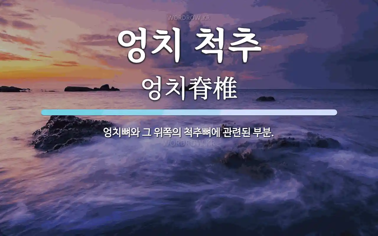 엉치 척추 뜻 엉치뼈와 그 위쪽의 척추뼈에 관련된 부분