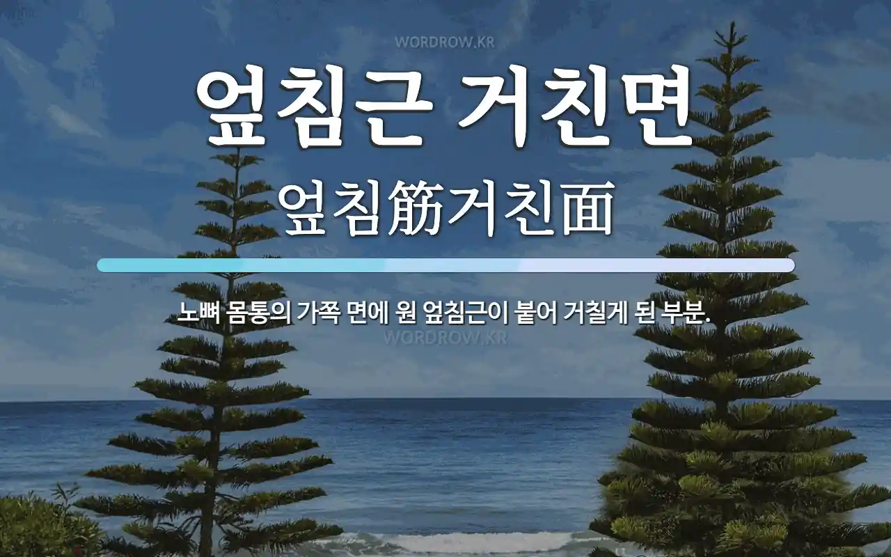 엎침근 거친면 뜻 노뼈 몸통의 가쪽 면에 원 엎침근이 붙어 거칠게 된 부분