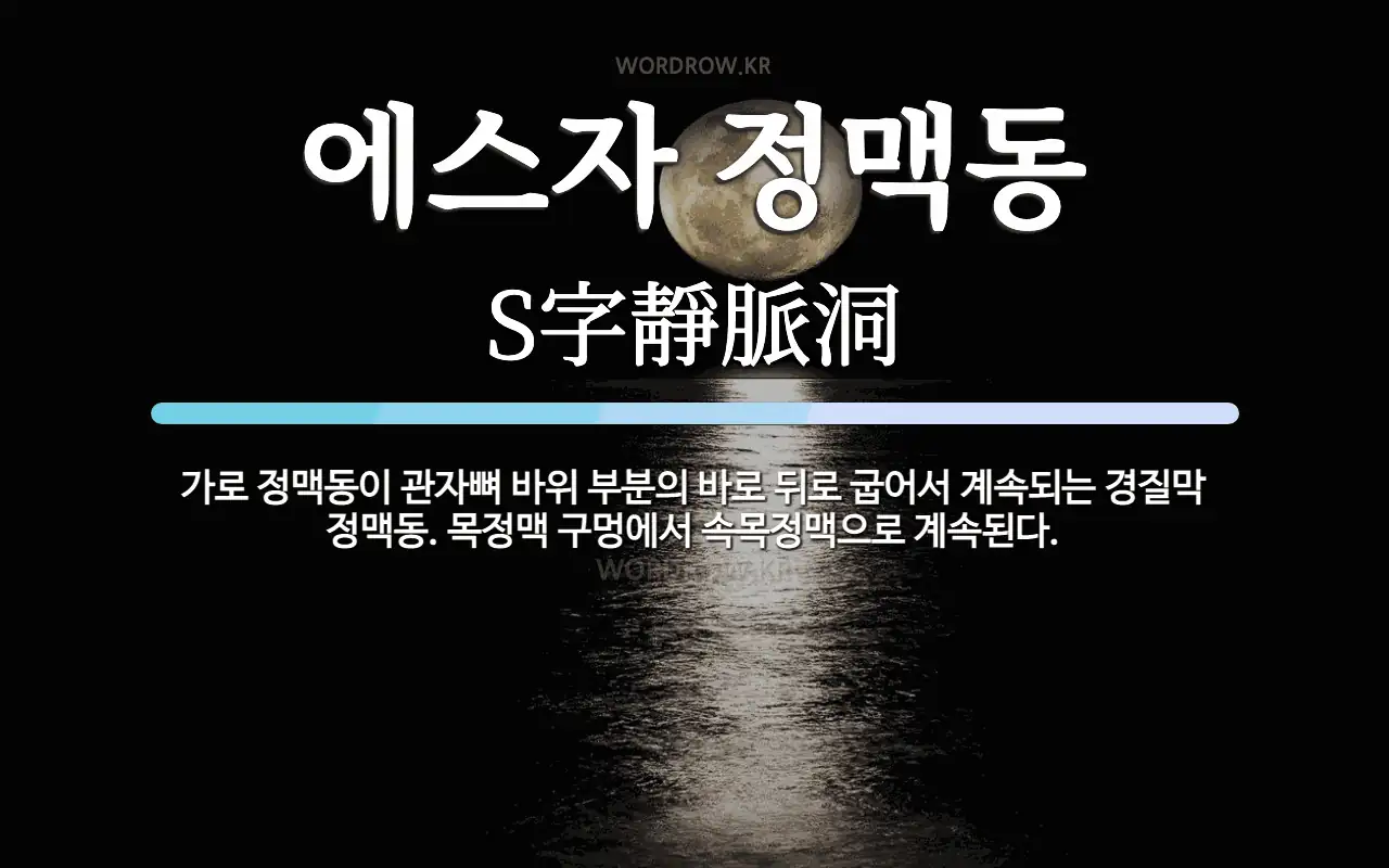 에스자 정맥동 뜻 가로 정맥동이 관자뼈 바위 부분의 바로 뒤로 굽어서 계속되는 경질막 정맥동 목정맥 구멍에