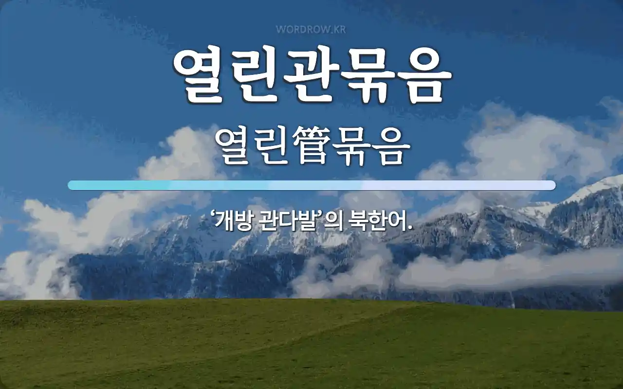 열린관묶음 뜻 ‘개방 관다발의 북한어
