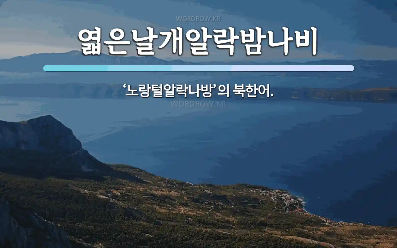 엷은날개알락밤나비 뜻 ‘노랑털알락나방의 북한어