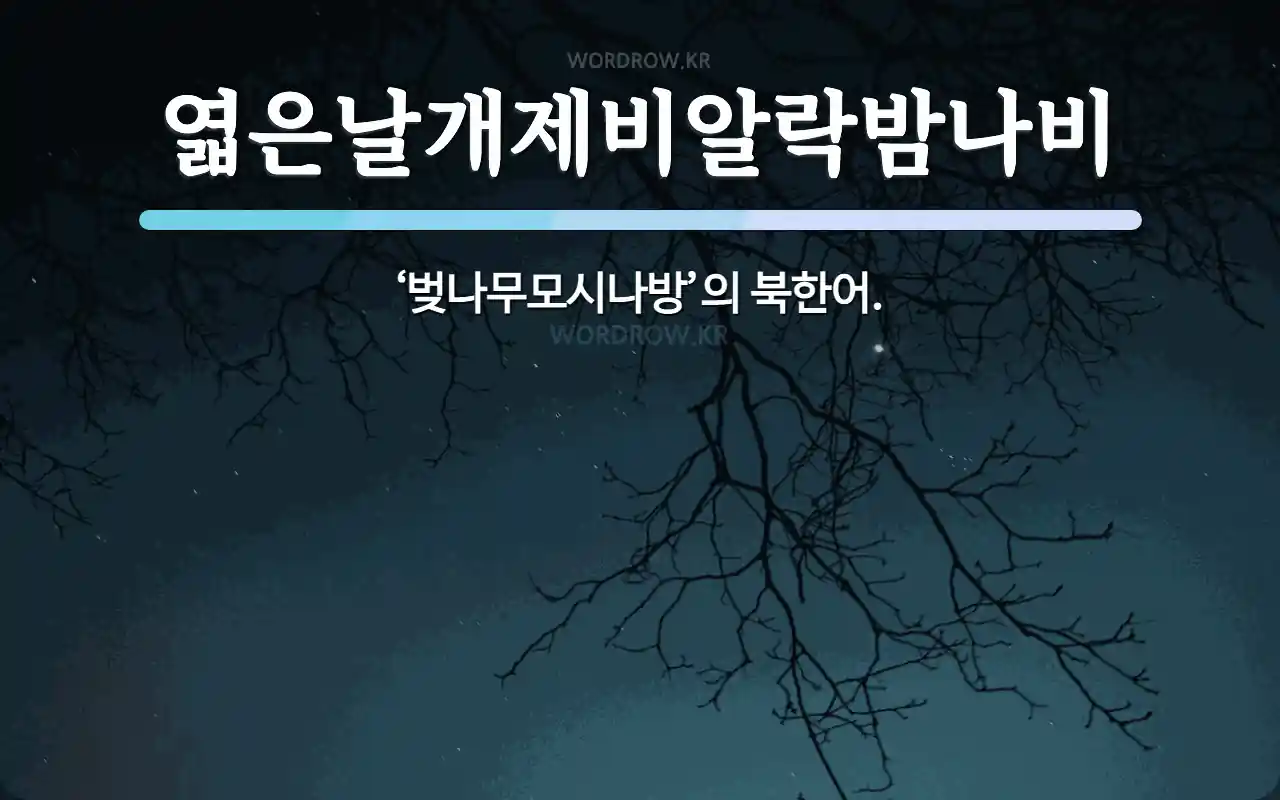 엷은날개제비알락밤나비 뜻 ‘벚나무모시나방의 북한어