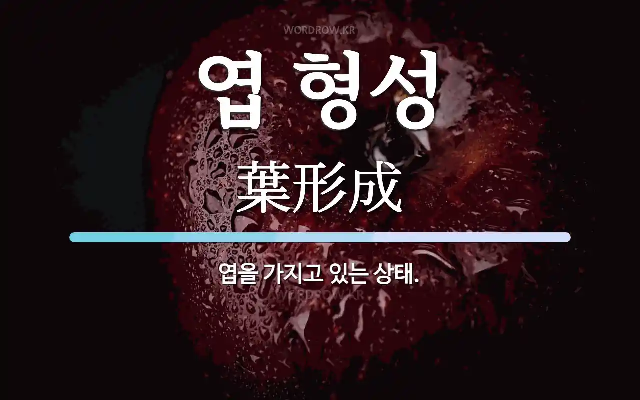 엽 형성 뜻 엽을 가지고 있는 상태
