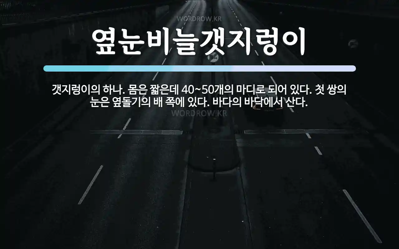 옆눈비늘갯지렁이 뜻 갯지렁이의 하나 몸은 짧은데 40~50개의 마디로 되어 있다 첫 쌍의 눈은 옆돌기의 배