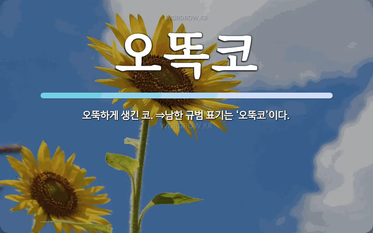 오똑코 뜻 오뚝하게 생긴 코 ⇒남한 규범 표기는 ‘오뚝코이다
