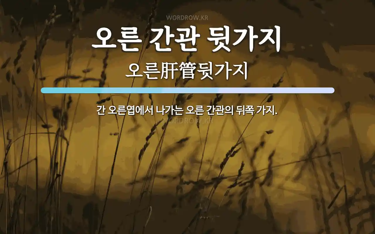 오른 간관 뒷가지 뜻 간 오른엽에서 나가는 오른 간관의 뒤쪽 가지