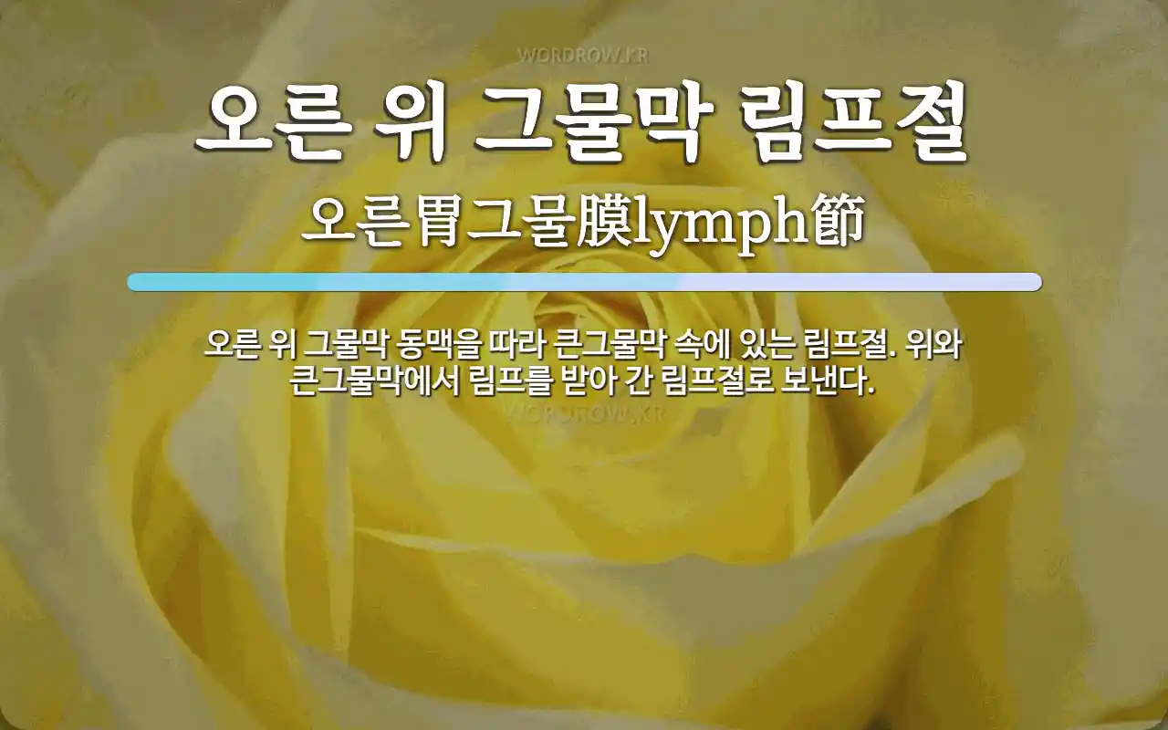오른 위 그물막 림프절 뜻 오른 위 그물막 동맥을 따라 큰그물막 속에 있는 림프절 위와 큰그물막에서 림프를 받아 간
