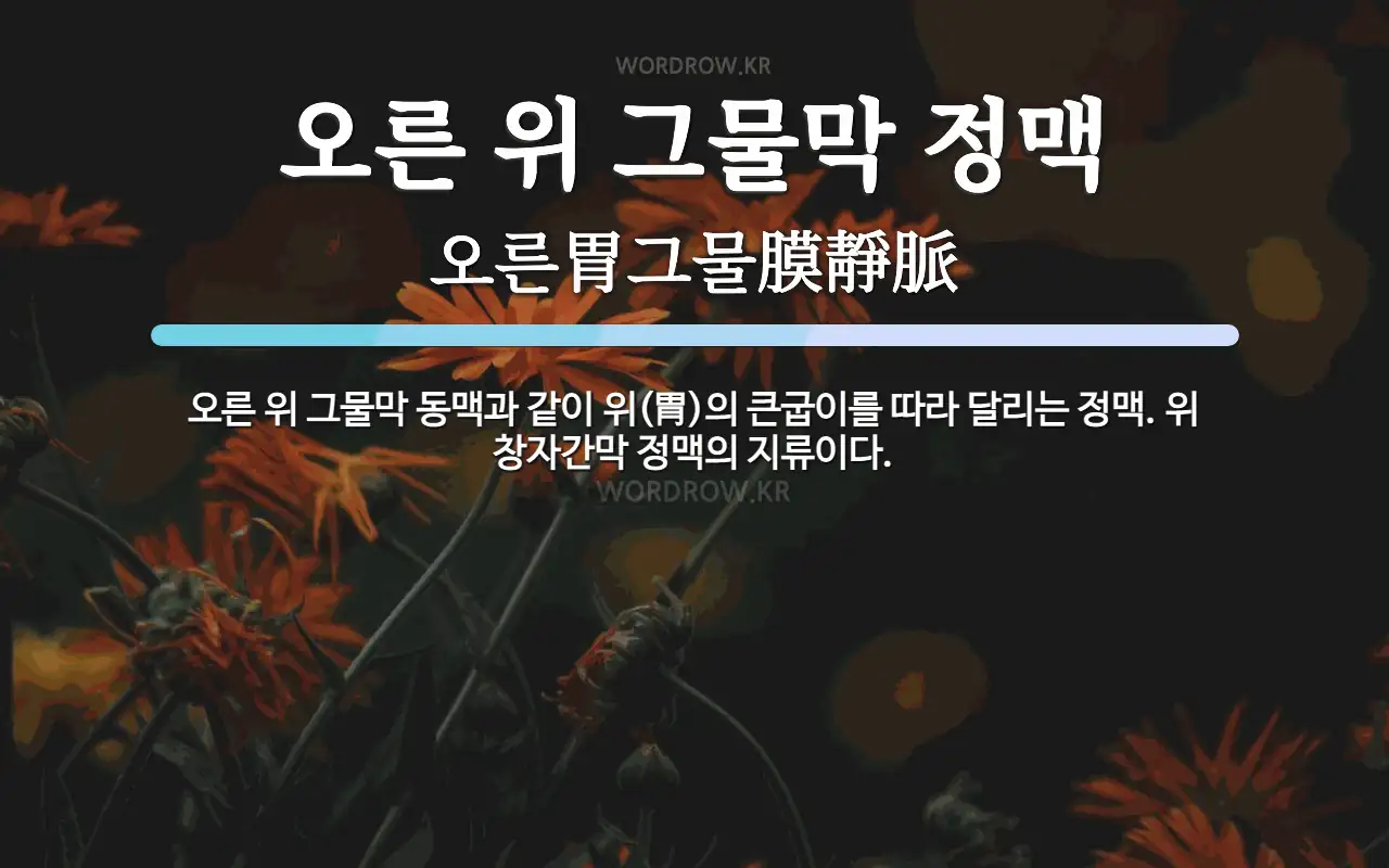 오른 위 그물막 정맥 뜻 오른 위 그물막 동맥과 같이 위胃의 큰굽이를 따라 달리는 정맥 위 창자간막 정맥의 지