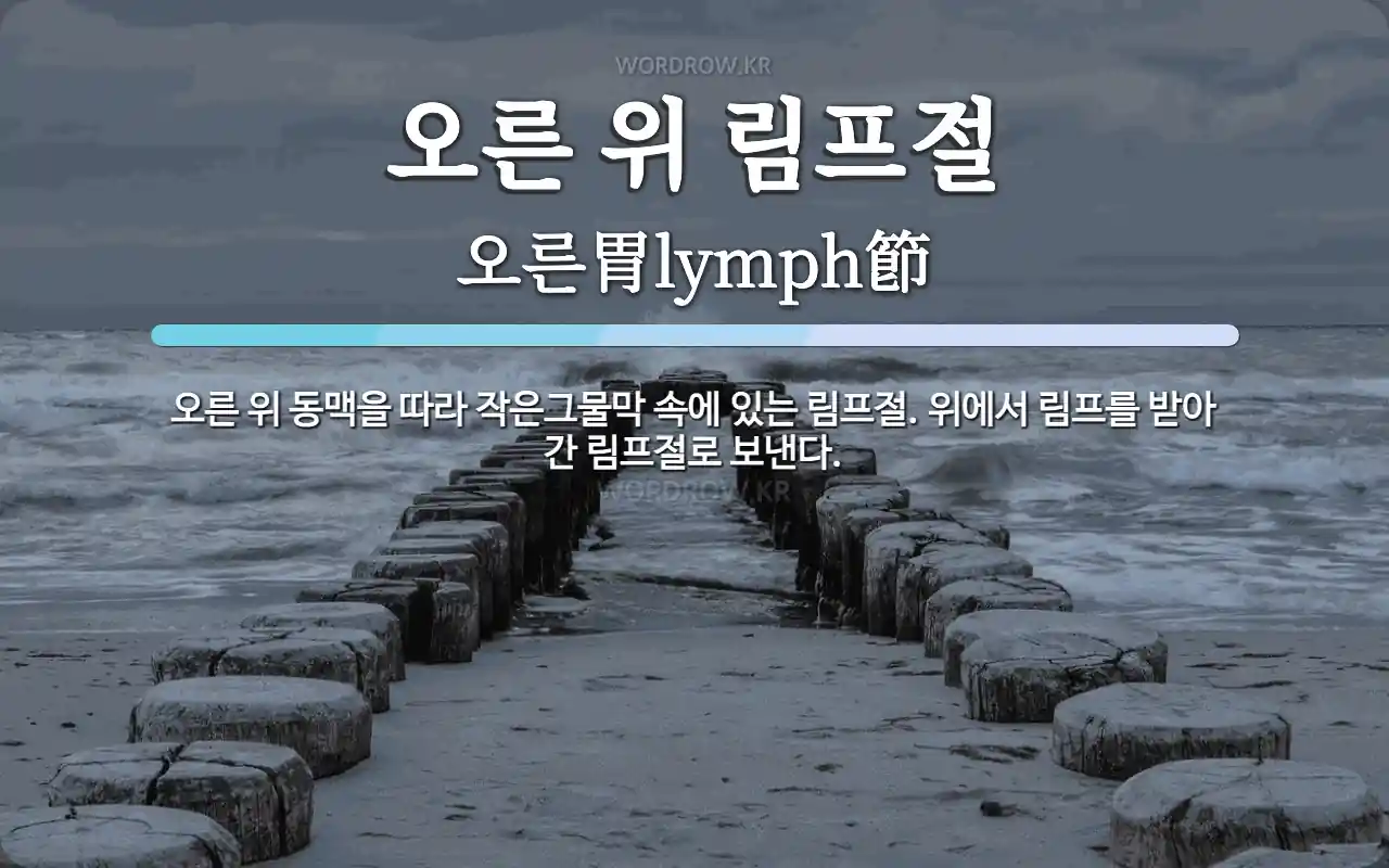 오른 위 림프절 뜻 오른 위 동맥을 따라 작은그물막 속에 있는 림프절 위에서 림프를 받아 간 림프절로 보낸다