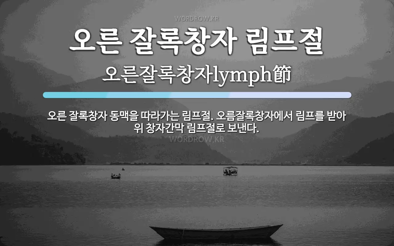 오른 잘록창자 림프절 뜻 오른 잘록창자 동맥을 따라가는 림프절 오름잘록창자에서 림프를 받아 위 창자간막 림프절로