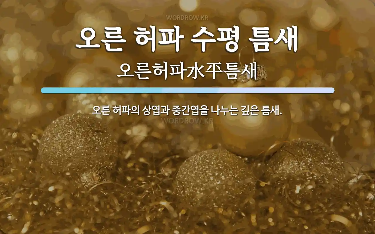 오른 허파 수평 틈새 뜻 오른 허파의 상엽과 중간엽을 나누는 깊은 틈새