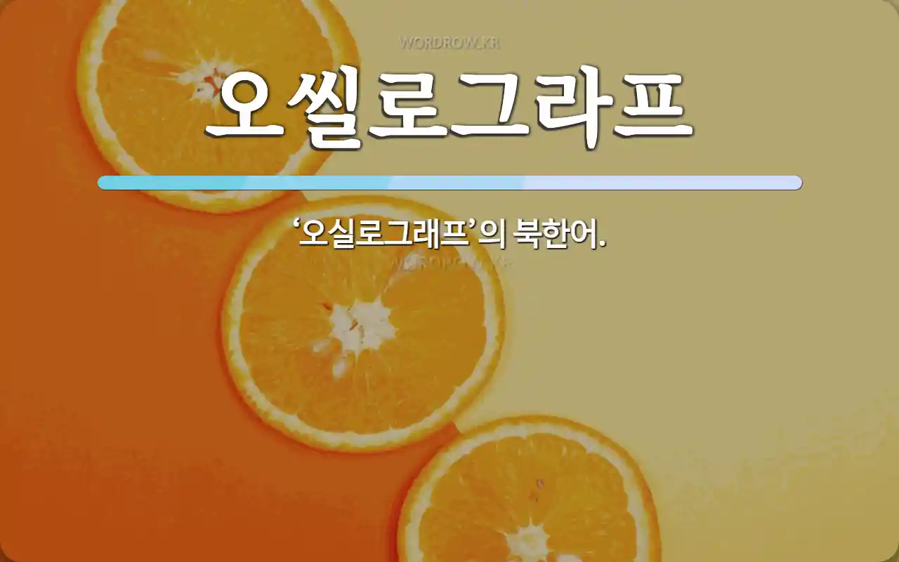 오씰로그라프 뜻 ‘오실로그래프의 북한어