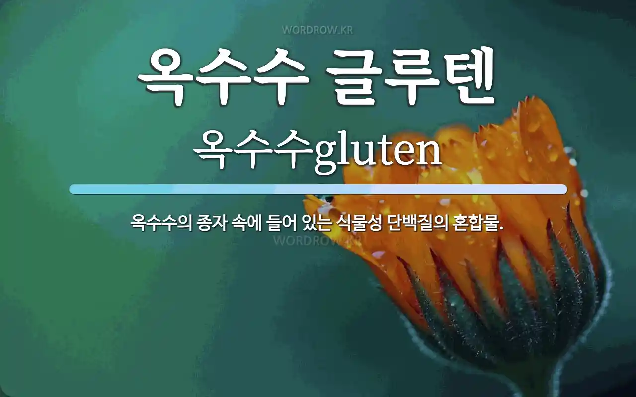 옥수수 글루텐 뜻 옥수수의 종자 속에 들어 있는 식물성 단백질의 혼합물