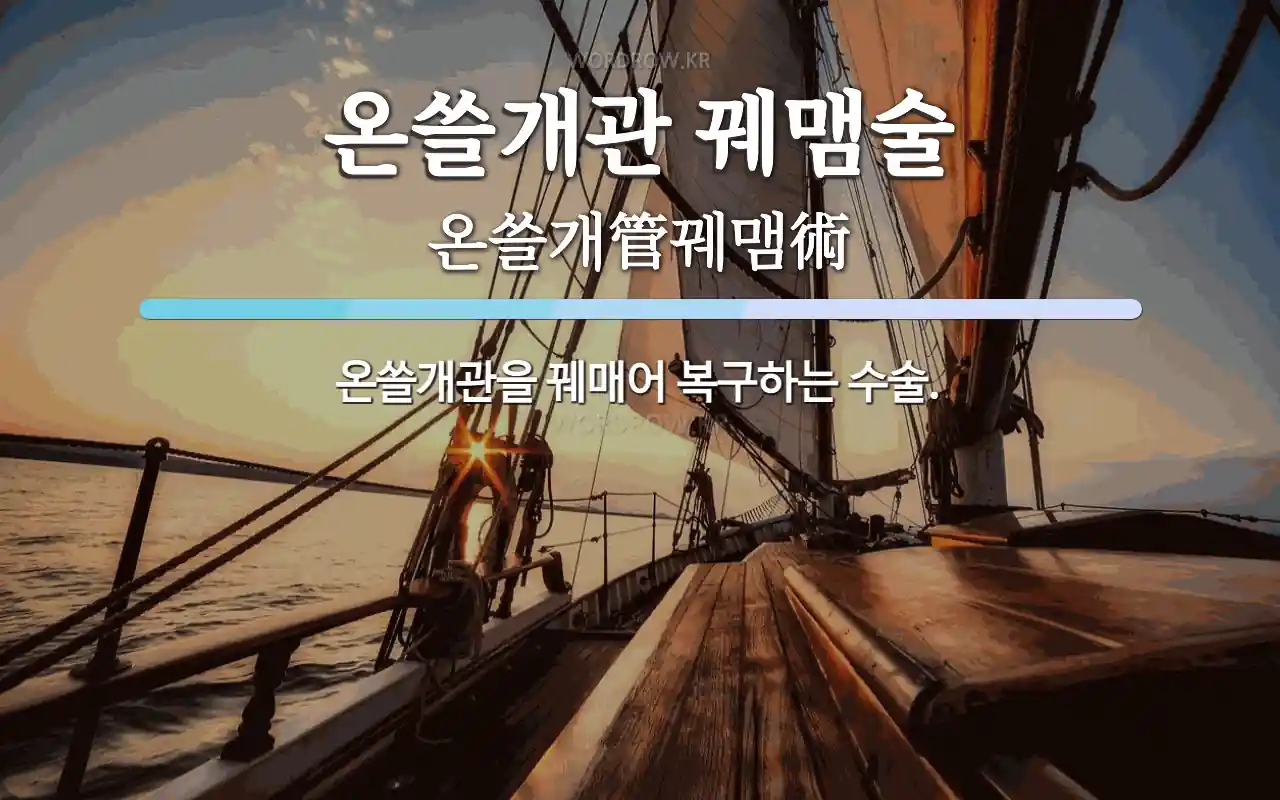 온쓸개관 꿰맴술 뜻 온쓸개관을 꿰매어 복구하는 수술