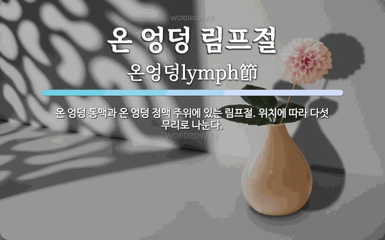 온 엉덩 림프절 뜻 온 엉덩 동맥과 온 엉덩 정맥 주위에 있는 림프절 위치에 따라 다섯 무리로 나눈다