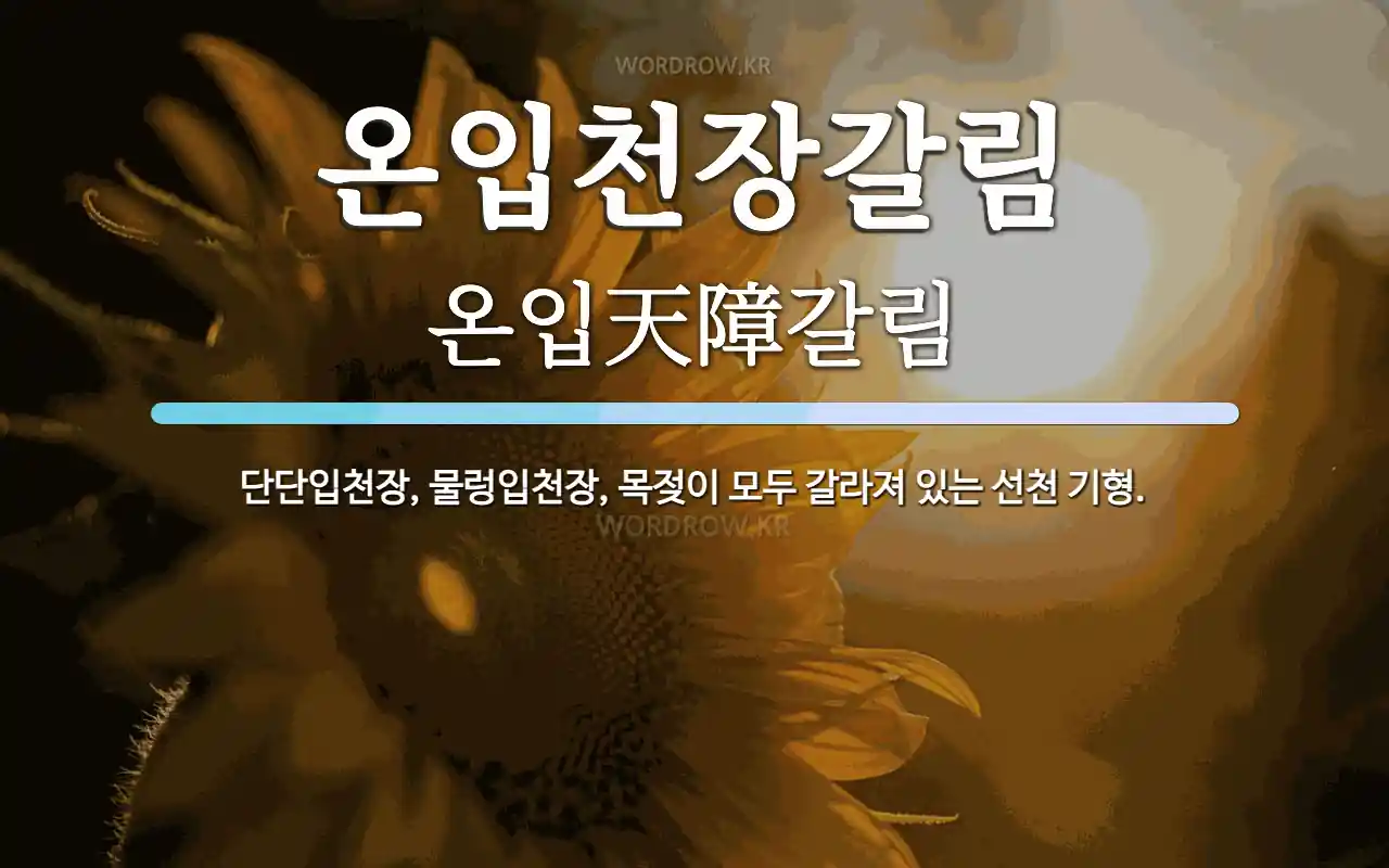 온입천장갈림 뜻 단단입천장 물렁입천장 목젖이 모두 갈라져 있는 선천 기형