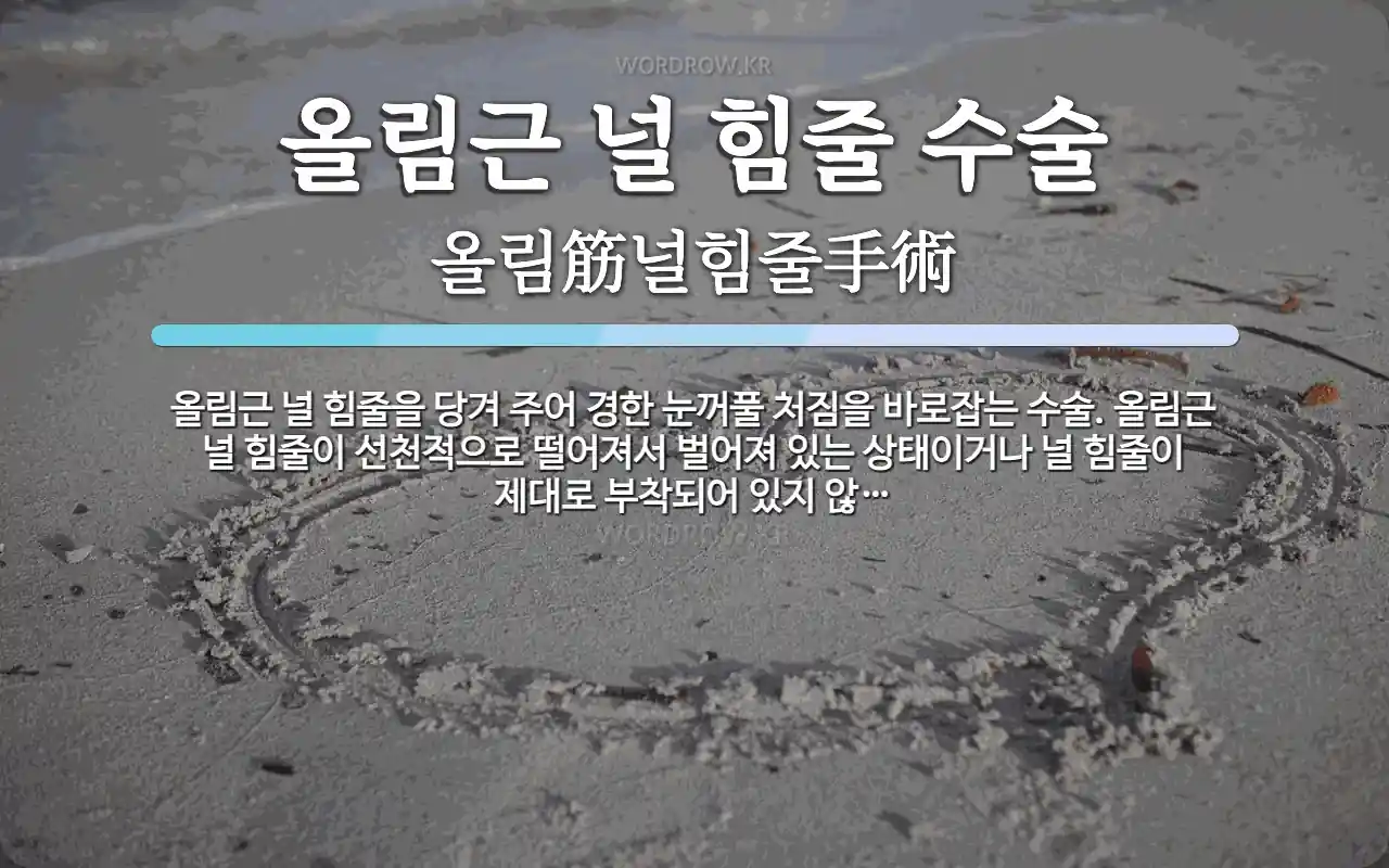 올림근 널 힘줄 수술 뜻 올림근 널 힘줄을 당겨 주어 경한 눈꺼풀 처짐을 바로잡는 수술 올림근 널 힘줄이 선천적으