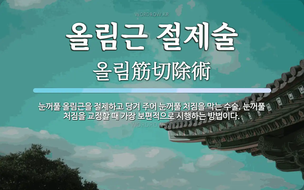 올림근 절제술 뜻 눈꺼풀 올림근을 절제하고 당겨 주어 눈꺼풀 처짐을 막는 수술 눈꺼풀 처짐을 교정할 때 가