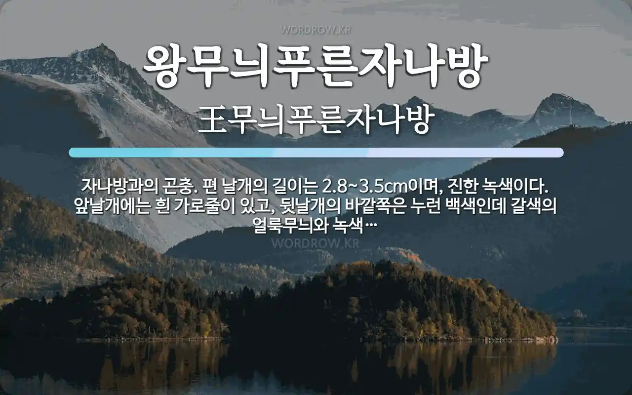 왕무늬푸른자나방 뜻 자나방과의 곤충 편 날개의 길이는 28~35cm이며 진한 녹색이다 앞날개에는 흰