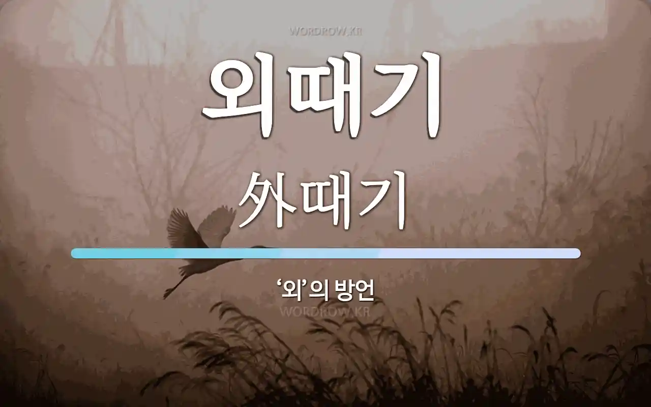 외때기 뜻 ‘외의 방언