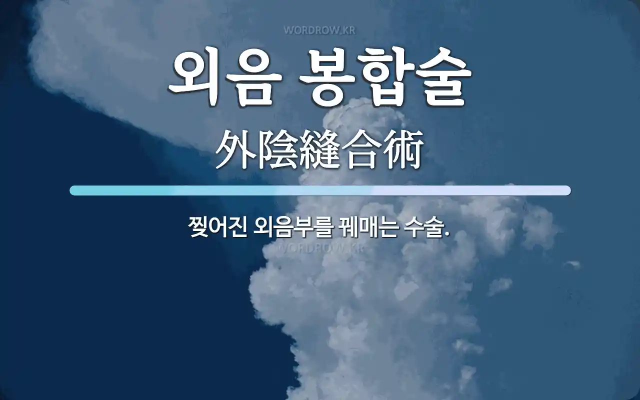 외음 봉합술 뜻 찢어진 외음부를 꿰매는 수술