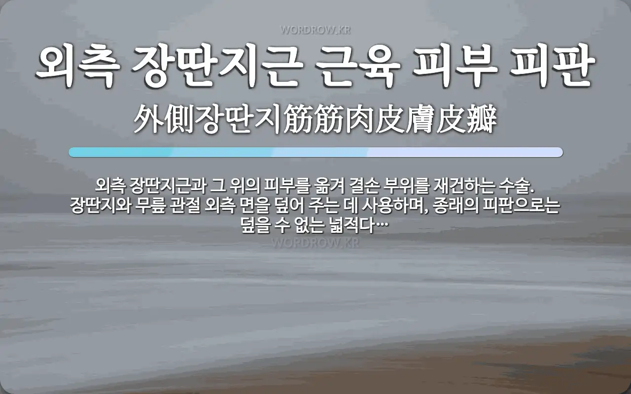 외측 장딴지근 근육 피부 피판 뜻 외측 장딴지근과 그 위의 피부를 옮겨 결손 부위를 재건하는 수술 장딴지와 무릎 관절 외측